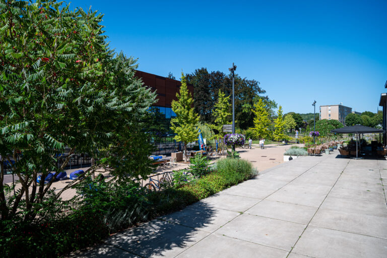 Hammerstone: vraag en antwoord over het nieuwe MTB-festival in ...